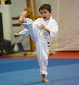 Introductory Program - Sun Hang Do